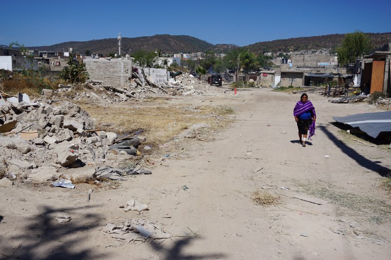 floresta 11 | Zona Docs