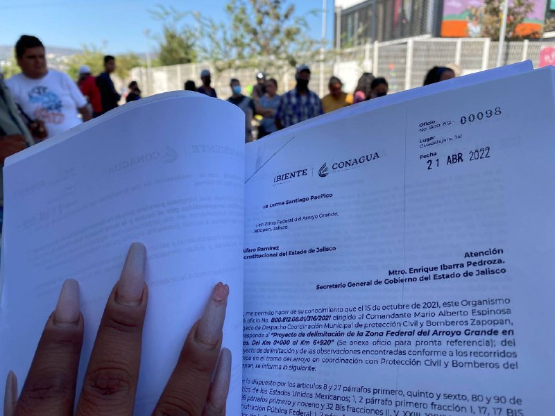 floresta 2 | Zona Docs