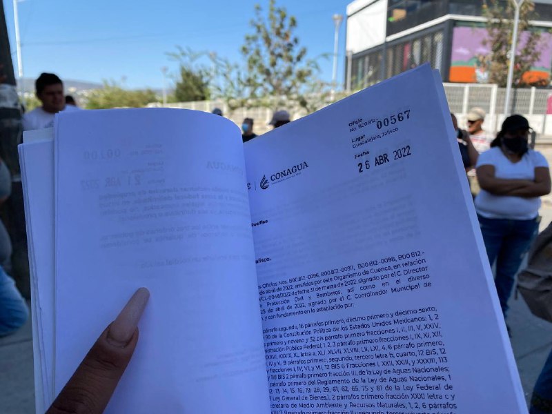 floresta 3 | Zona Docs