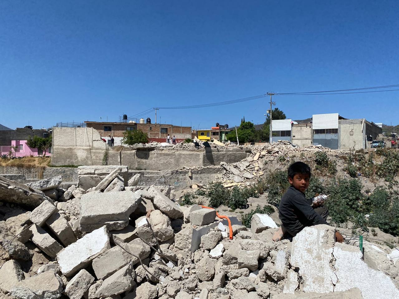 floresta | Zona Docs