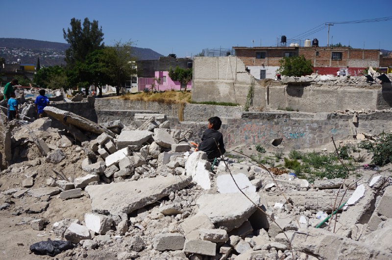 floresta 7 | Zona Docs