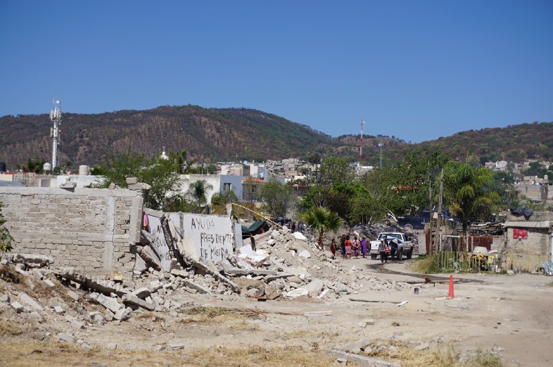 floresta 8 | Zona Docs