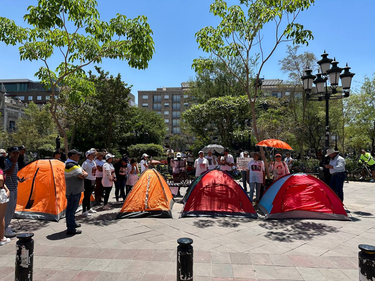 IMG_9860 | Zona Docs