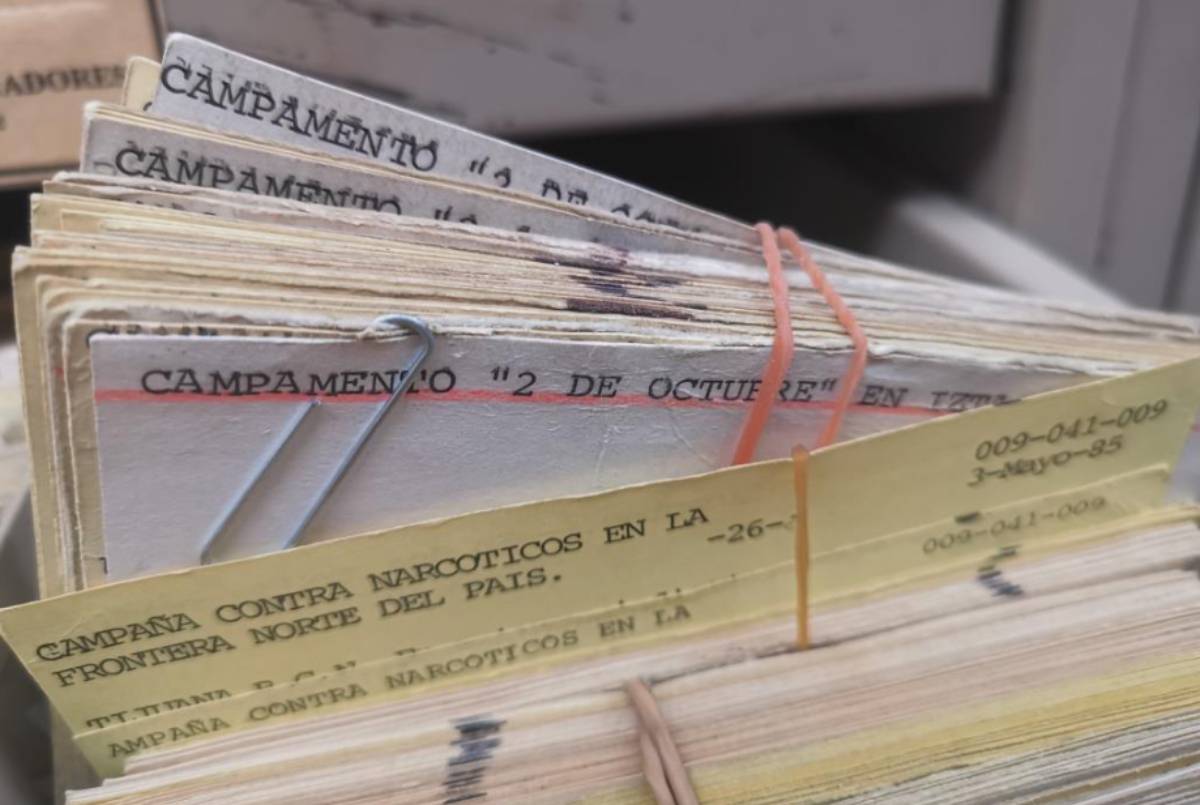 Carpeta De Archivo Del Caso Policial
