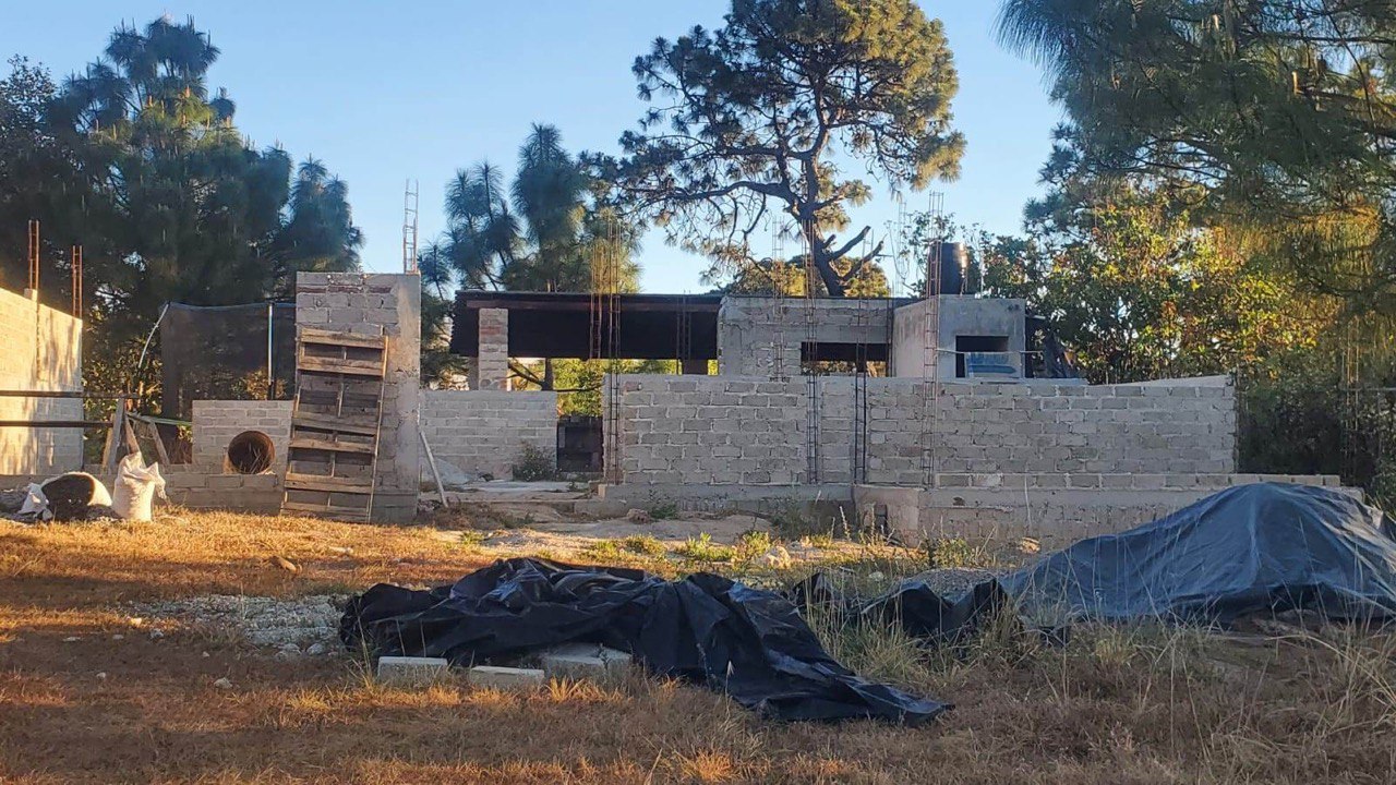 “No podemos seguir dejando que se muera nuestro bosque”: denuncian construcciones ilegales en el ...