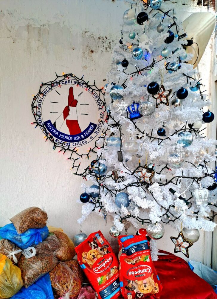 IMG_3393 | Zona Docs