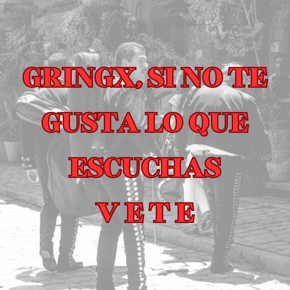 *GUÍA PARA EL GRINGX* | Zona Docs