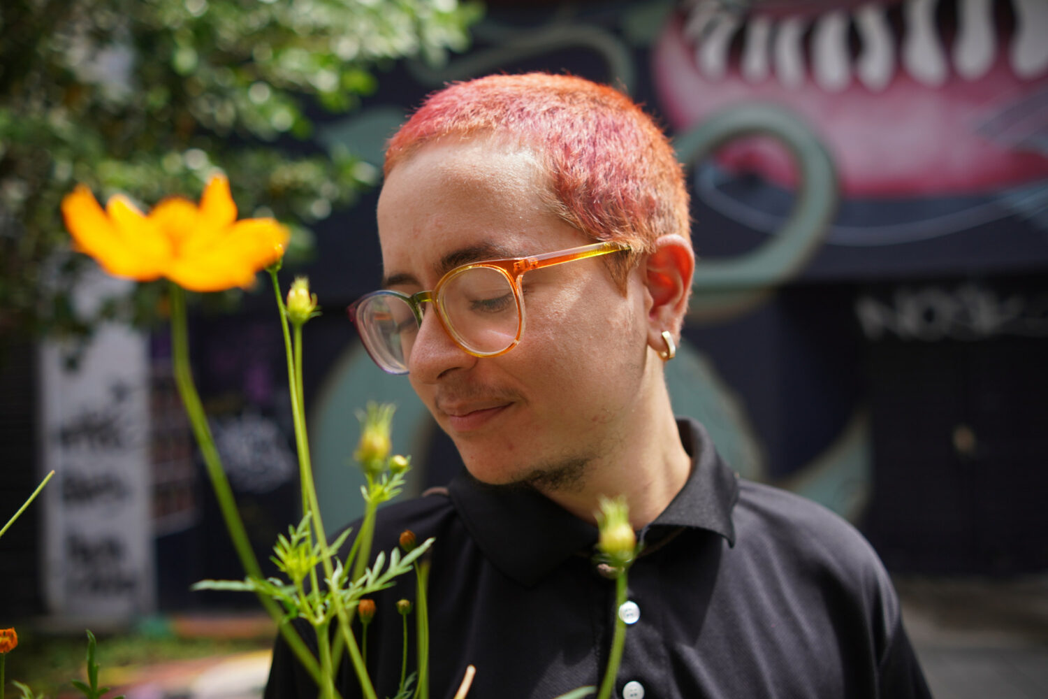 Red Transmasc: el refugio virtual para la comunidad transmasculina en Puerto Rico | Zona Docs