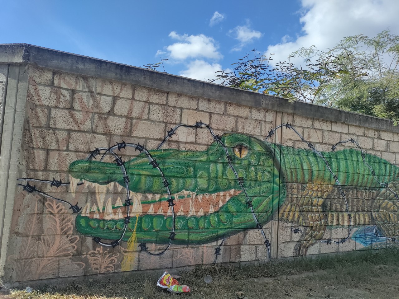 250 cocodrilos y un mar de gente | Zona Docs