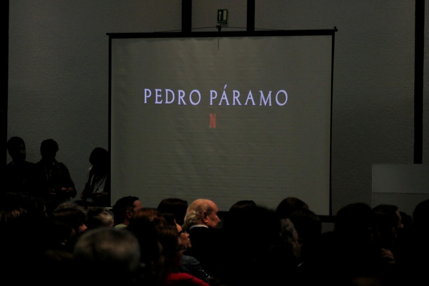 Las palabras de Juan Rulfo a la pantalla: la adaptación cinematográfica ...