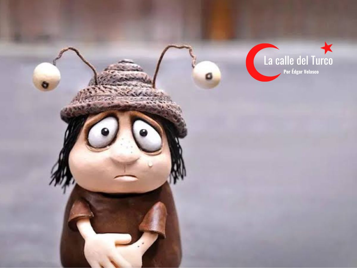 Caracoles | Zona Docs